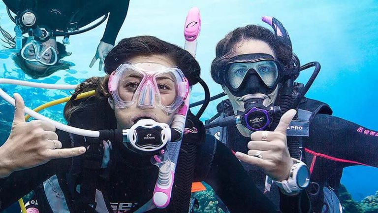 Scuba Weights Calculator - Perfect Dive Weight For You - Scuba Diving ...