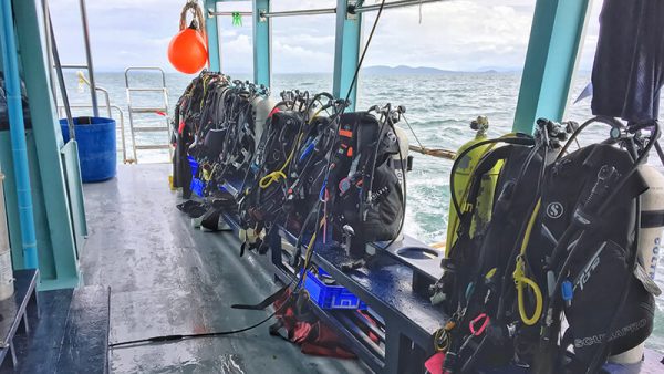 What Is A BCD for Scuba Diving and How To Use It - Scuba Diving Lovers