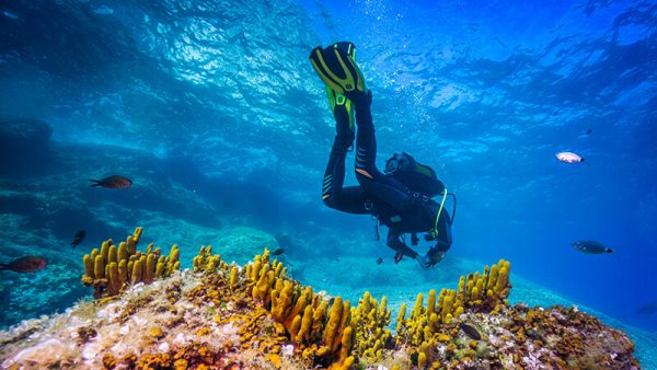 Deep-Sea Diving Tips For Beginners