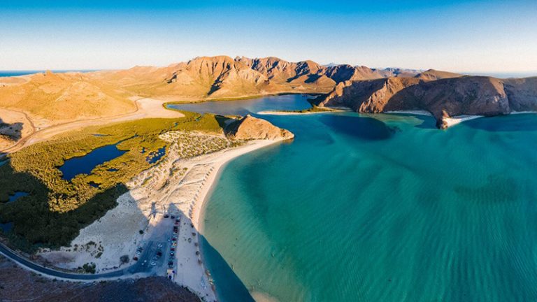 A Quick Diving Guide to the Sea of Cortez