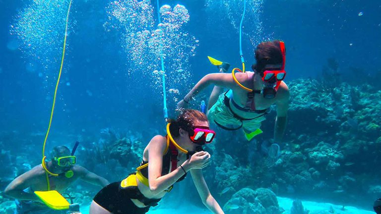A Quick Guide to Scuba Diving in the Florida Keys