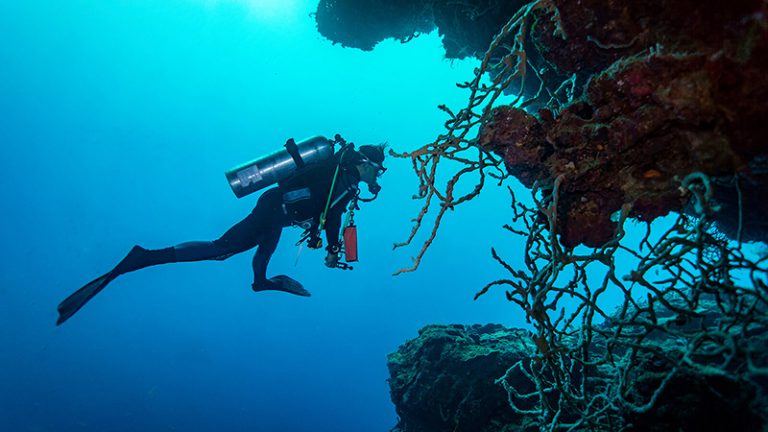 A quick guide to scuba diving in Texas, gulf coast