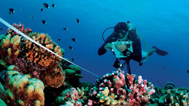 A quick guide to scuba diving in Texas, gulf coast